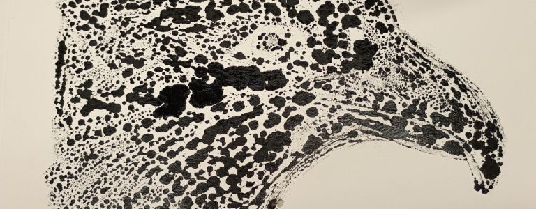 John Stamp – Visual Arts Scotland
